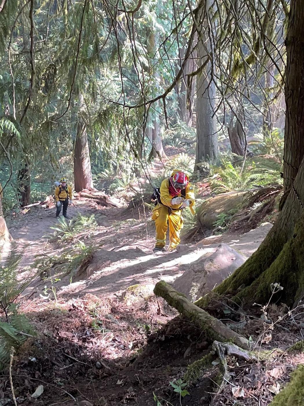 ODF fire crews continue to mop up fully contained Blue Jay Fire outside ...