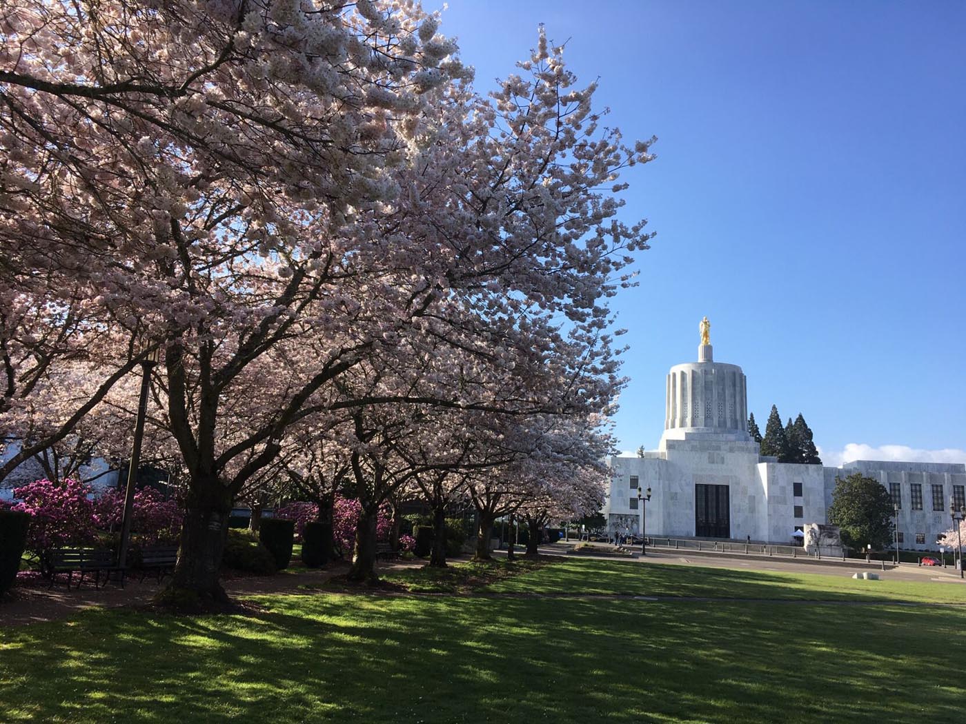 Readers Respond on preferred political news sources | Oregon City News ...